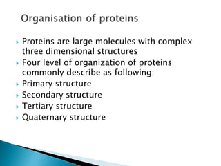 Level of structural organization of proteins in description | PPT