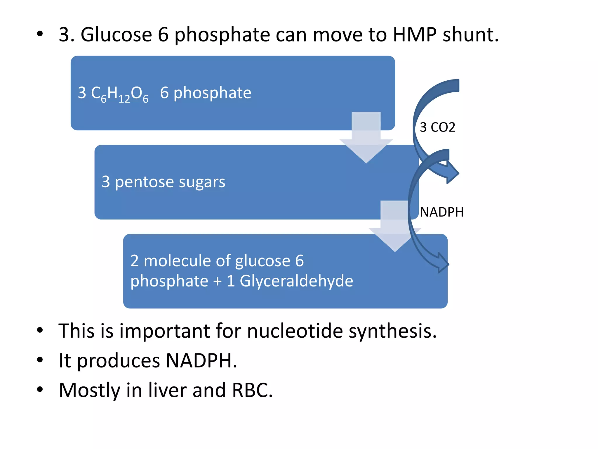 Sources And Fate Of Glucose 6 Phosphate | PPTX