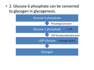 Sources And Fate Of Glucose 6 Phosphate | PPT