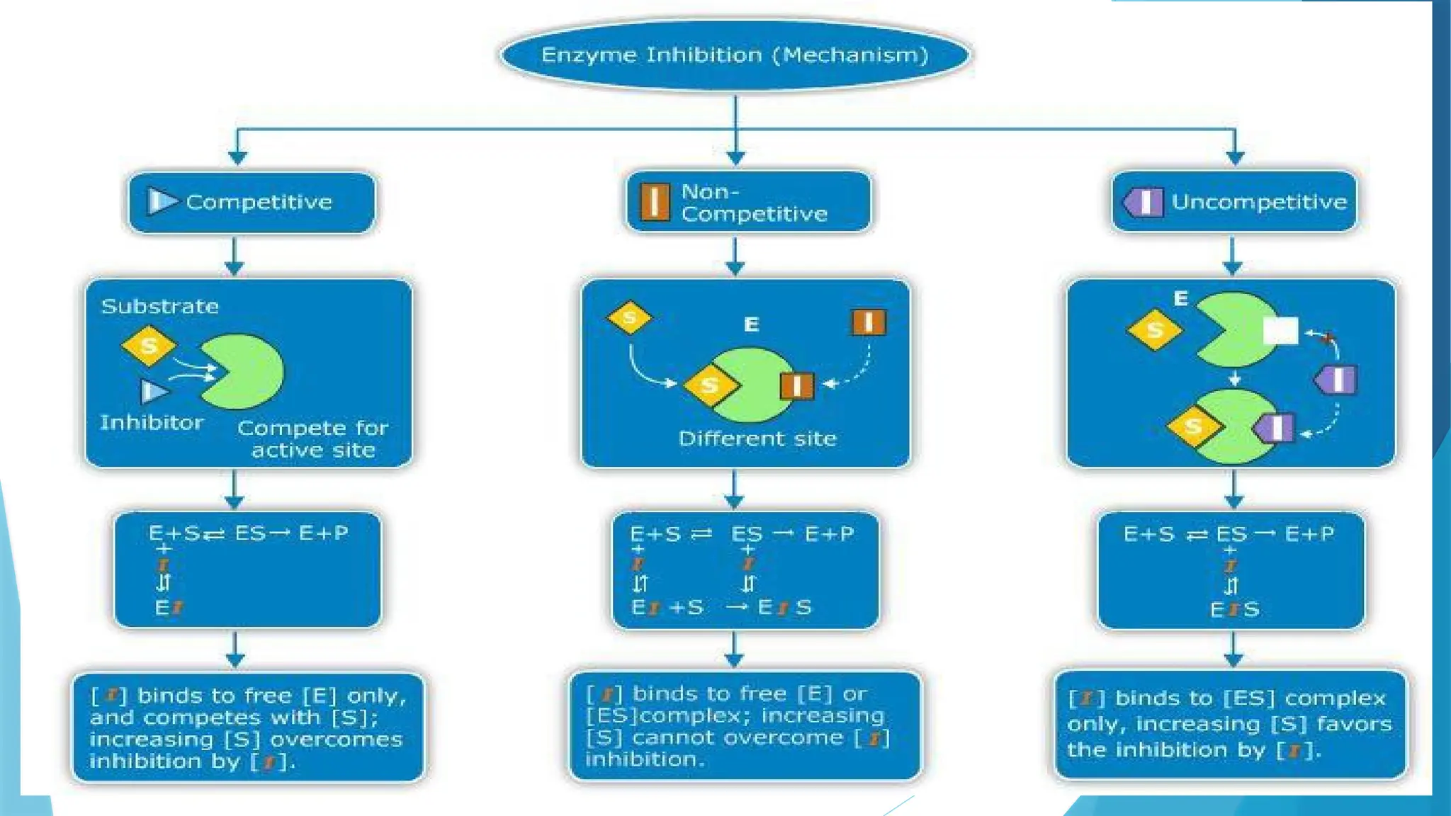 Biochemistry of enzyme inhibition power point slides | PPTX