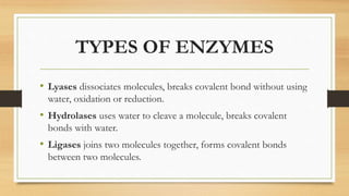 Biochemistry Enzymes Short Presentations | PPT
