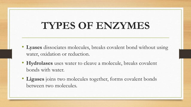 Biochemistry Enzymes Short Presentations | PPT