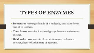 Biochemistry Enzymes Short Presentations | PPT