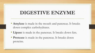 Biochemistry Enzymes Short Presentations | PPTX