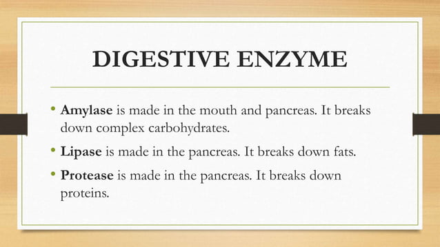 Biochemistry Enzymes Short Presentations | PPT