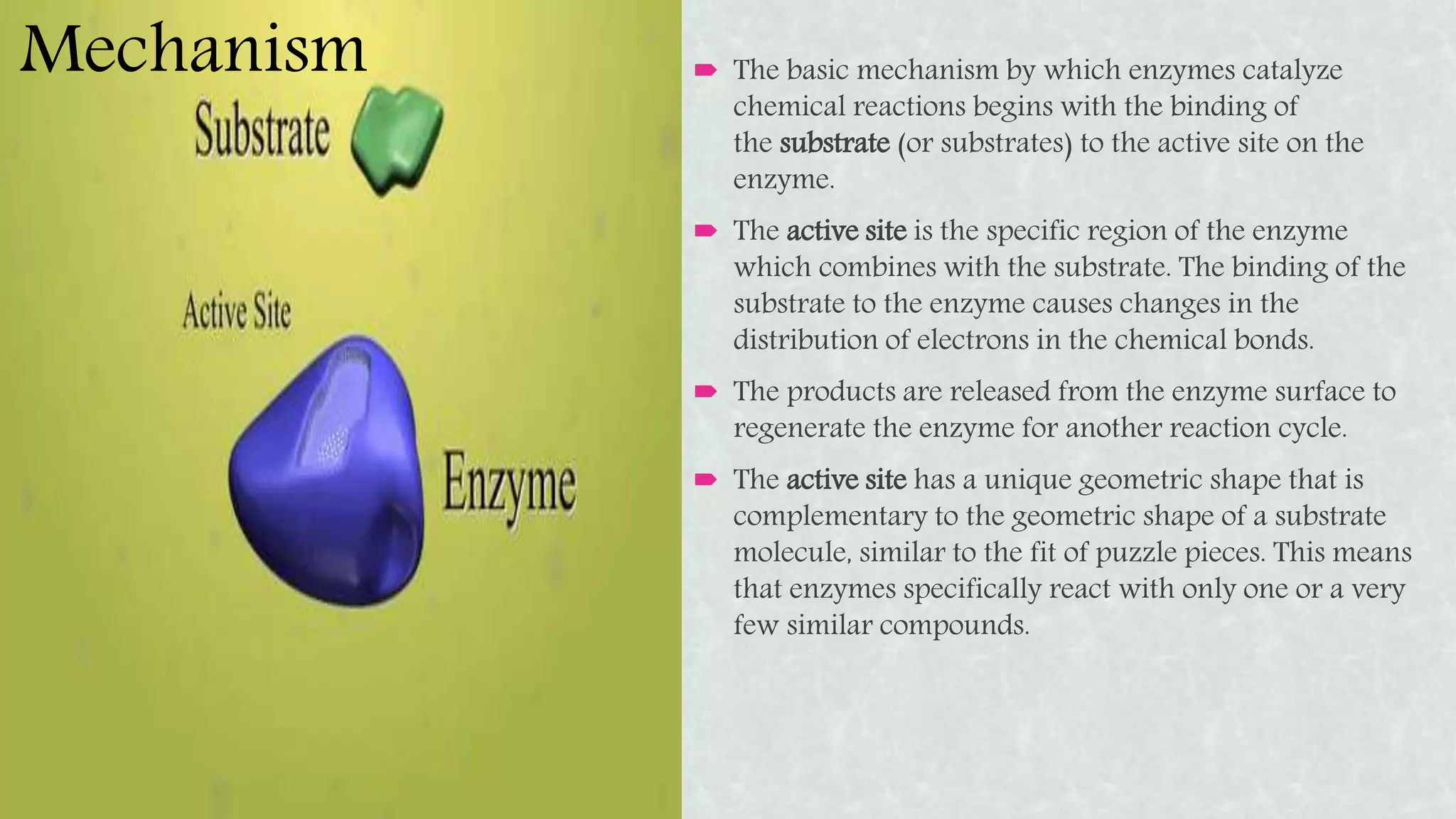 Enzymes and their properties | PPTX