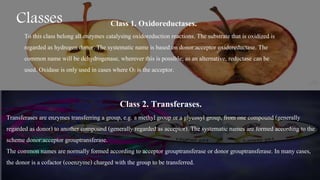 Enzymes and their properties | PPTX