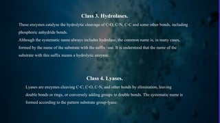 Enzymes and their properties | PPTX