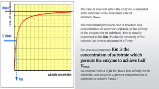 Enzymes and their properties | PPTX