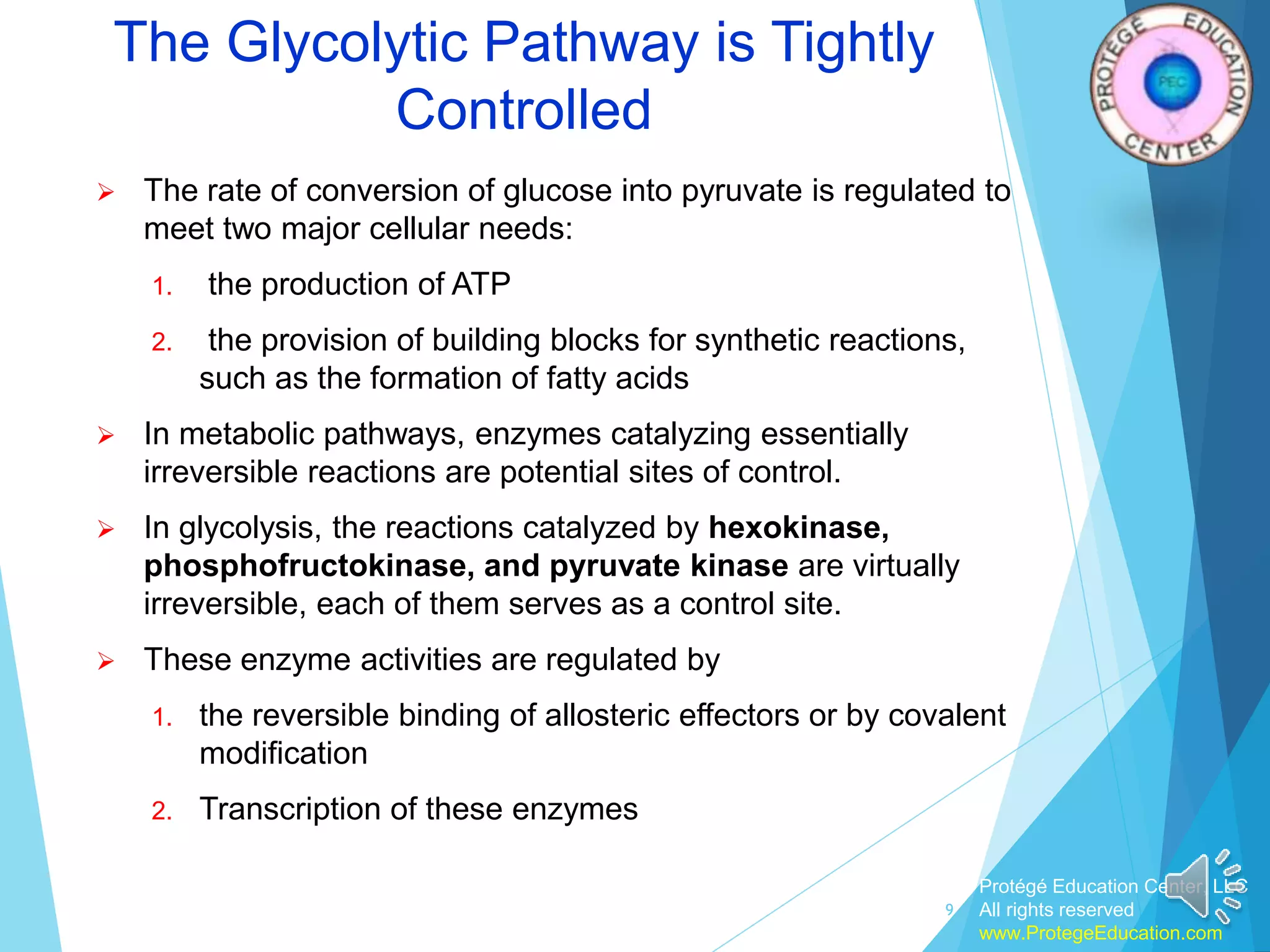 Glycolysis pathway in cells | PPTX