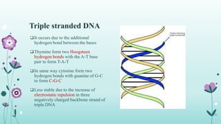 Biochem-I (DNA). presentation phospholipid | PPT