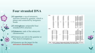 Biochem-I (DNA). presentation phospholipid | PPT