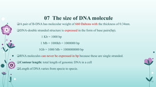 Biochem-I (DNA). presentation phospholipid | PPT