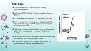 Biochem-I (DNA). presentation phospholipid | PPT