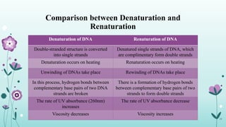 Biochem-I (DNA). presentation phospholipid | PPT