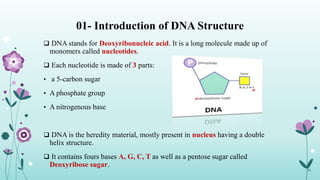 Biochem-I (DNA). presentation phospholipid | PPT