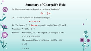 Biochem-I (DNA). presentation phospholipid | PPT