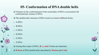 Biochem-I (DNA). presentation phospholipid | PPT