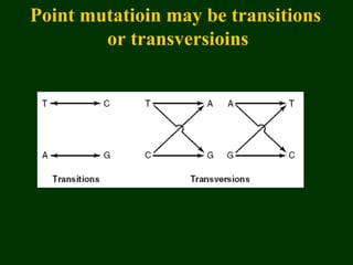 Biochem mutations | PPT