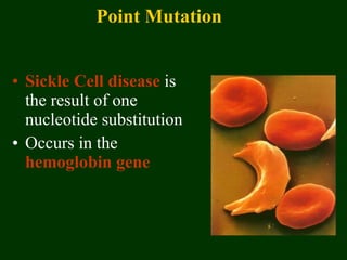 Biochem mutations | PPT