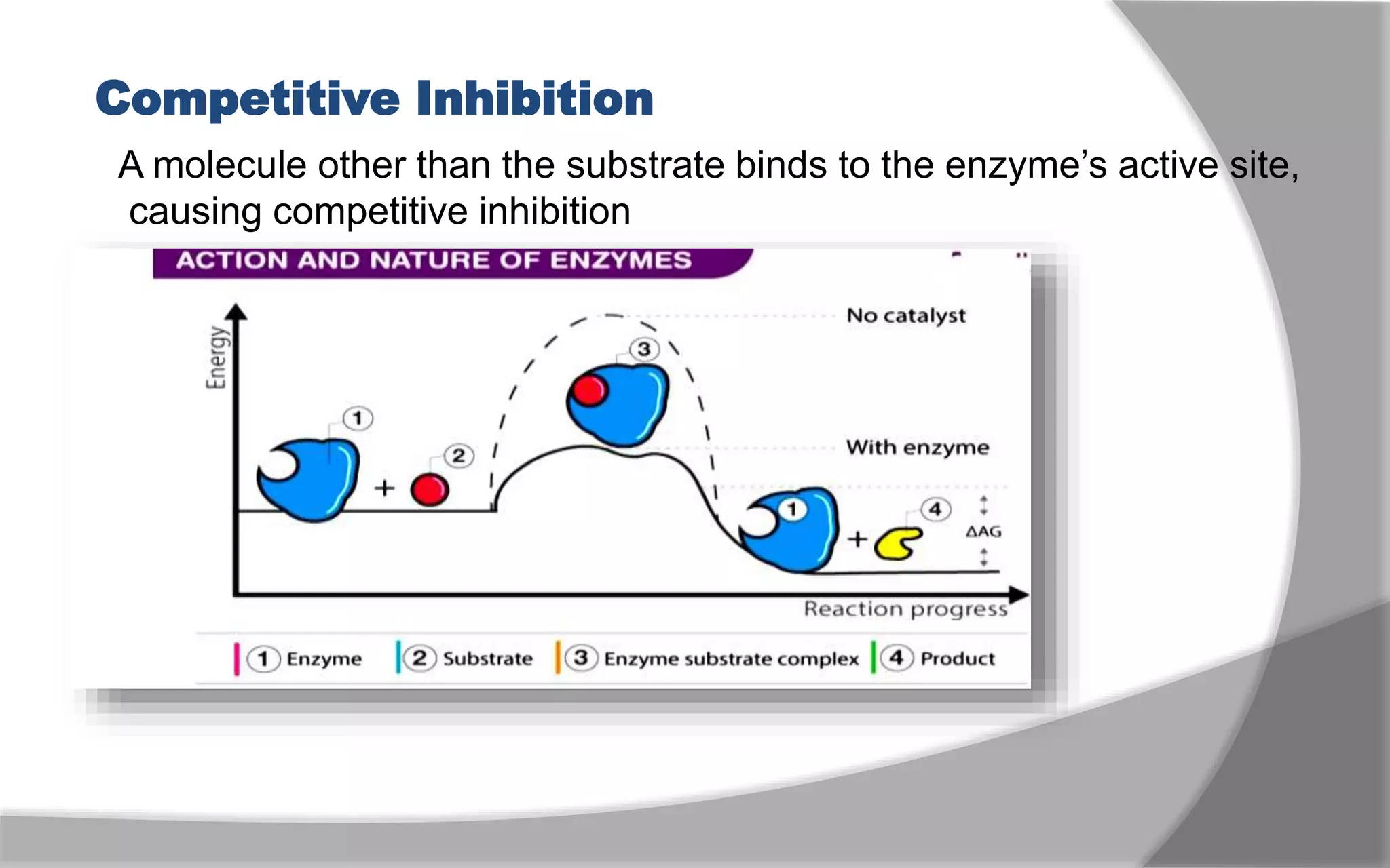 BIOCHEM-NATURAL FATS-TRIGLYCERIDES-ENZYME INHIBITION-REULATORY ENZYME.pptx