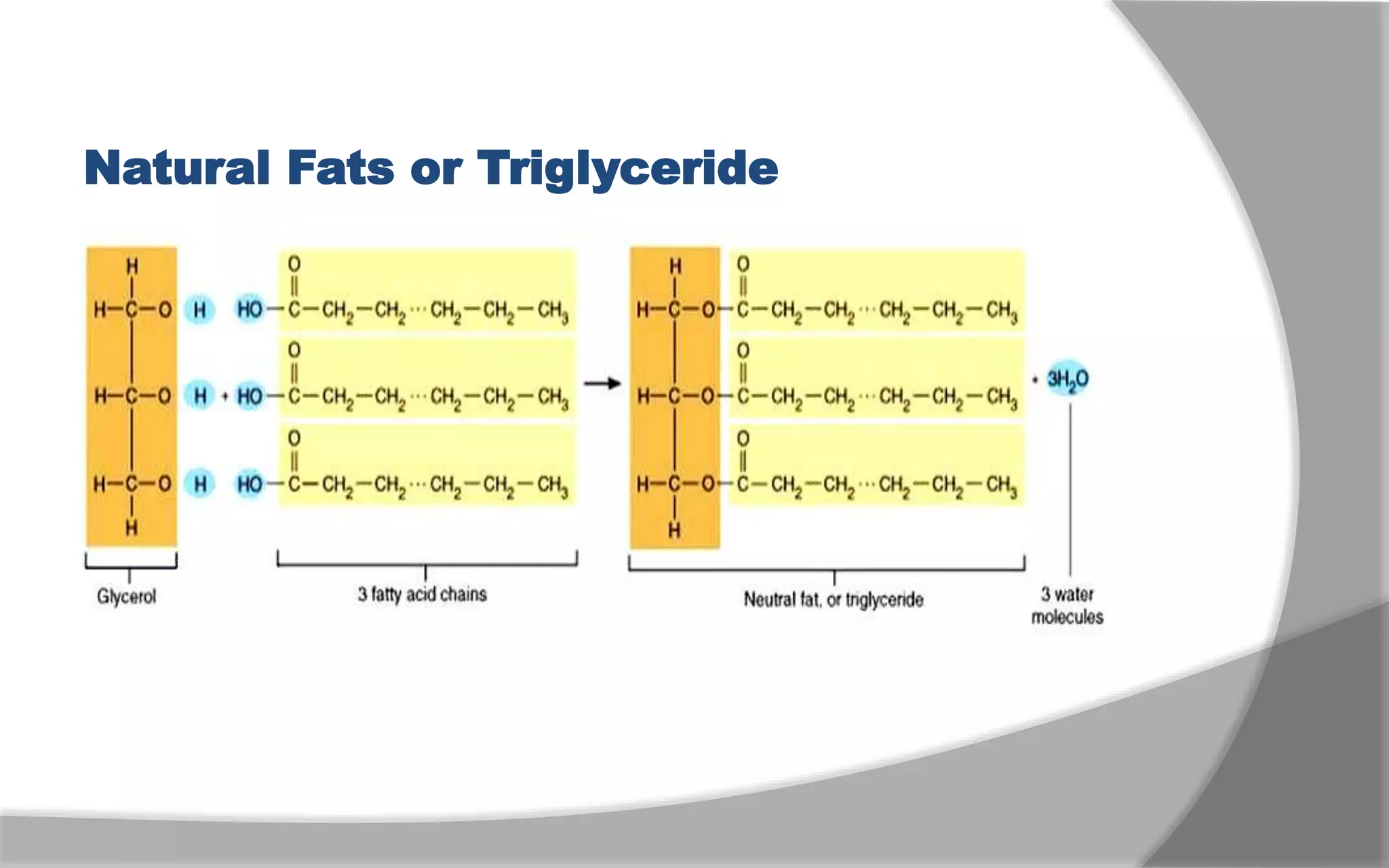BIOCHEM-NATURAL FATS-TRIGLYCERIDES-ENZYME INHIBITION-REULATORY ENZYME.pptx