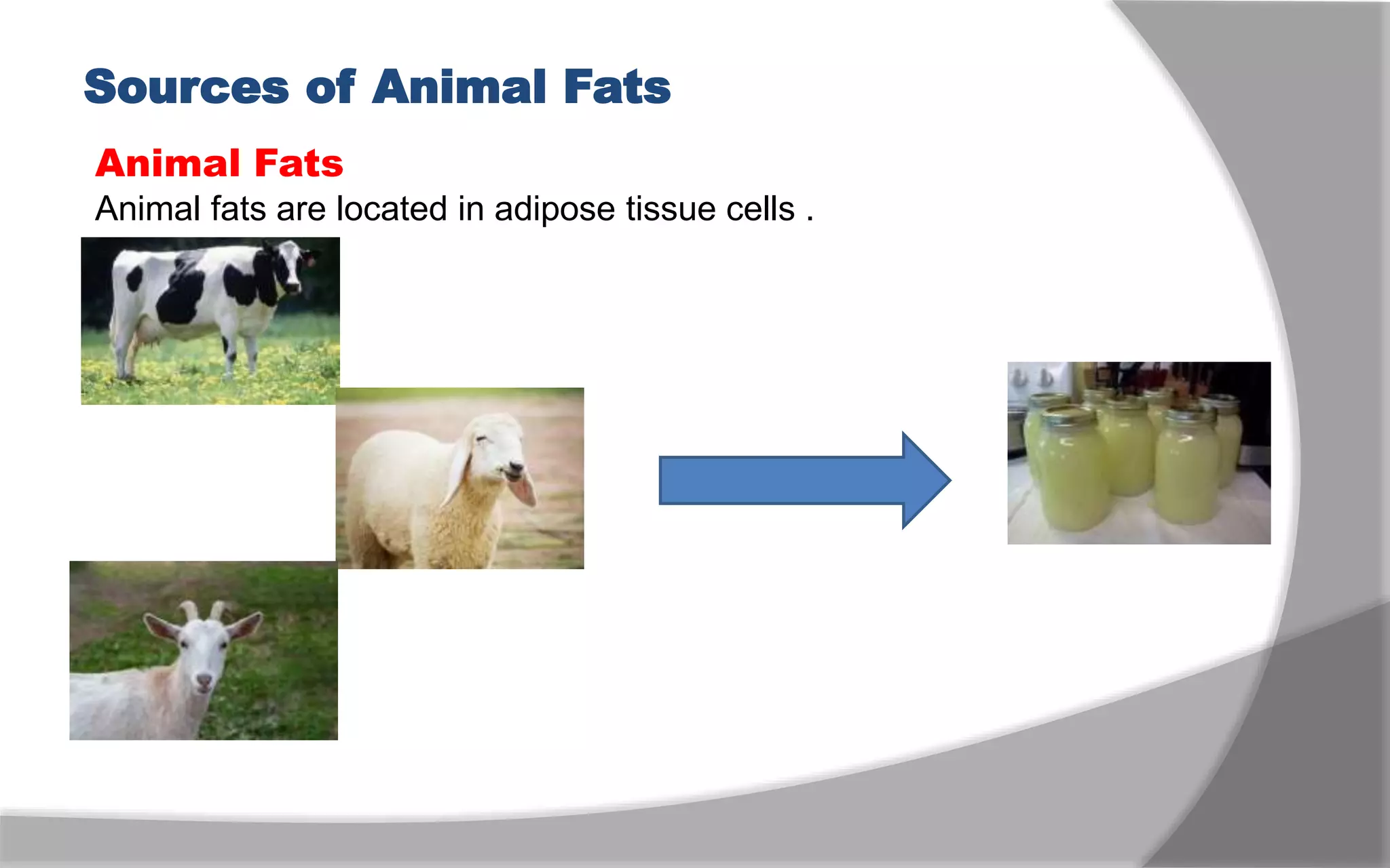 BIOCHEM-NATURAL FATS-TRIGLYCERIDES-ENZYME INHIBITION-REULATORY ENZYME.pptx