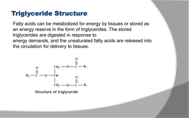BIOCHEM-NATURAL FATS-TRIGLYCERIDES-ENZYME INHIBITION-REULATORY ENZYME.pptx