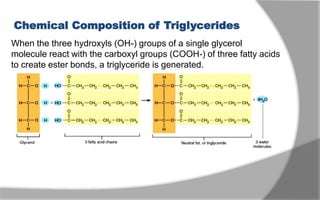 BIOCHEM-NATURAL FATS-TRIGLYCERIDES-ENZYME INHIBITION-REULATORY ENZYME.pptx