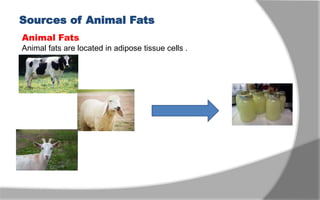 BIOCHEM-NATURAL FATS-TRIGLYCERIDES-ENZYME INHIBITION-REULATORY ENZYME.pptx