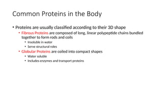 Proteins and Enzymes: Definition and characteristics | PPTX