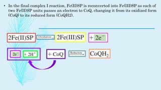 Biochem Respiratory chain and Oxidative phosphorylation | PPTX