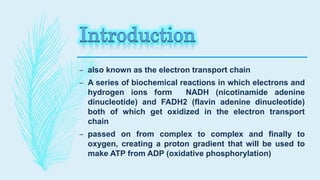 Biochem Respiratory chain and Oxidative phosphorylation | PPTX