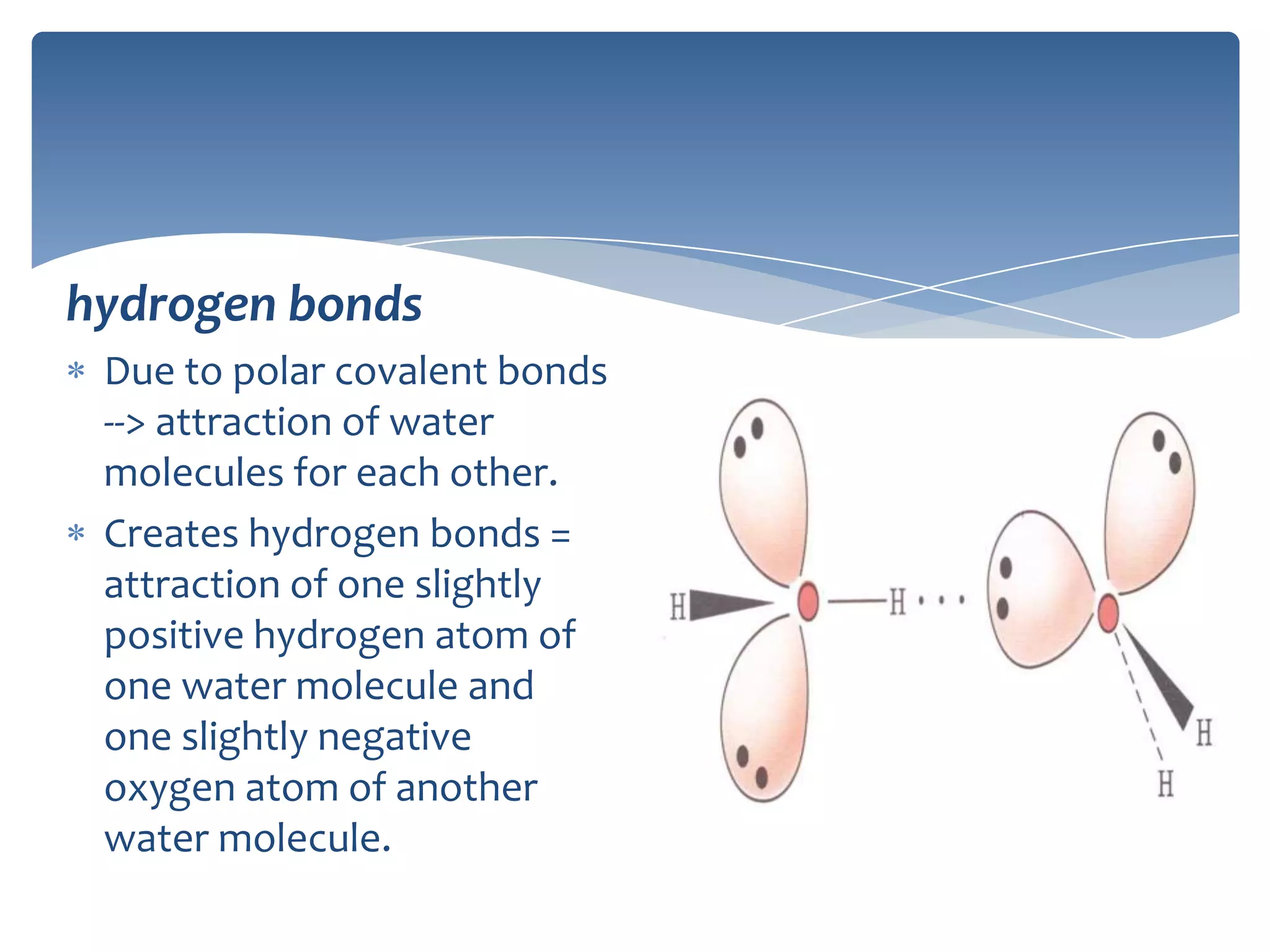 Water- Biochemistry | PPTX