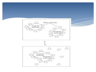 Water- Biochemistry | PPTX