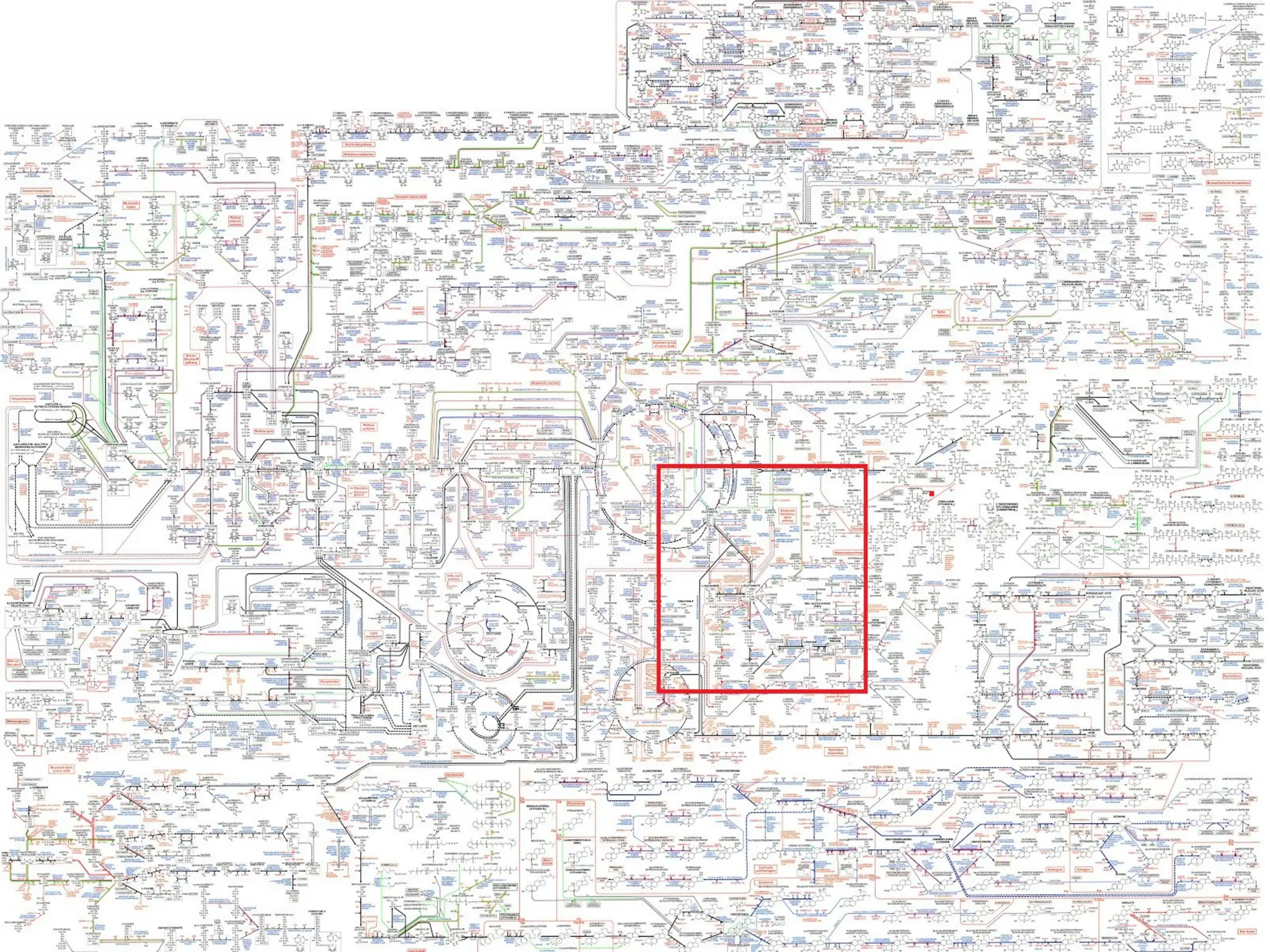 biochem IB unit 1 - basic definitions and scope | PPTX