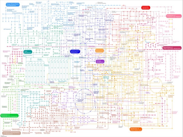 biochem IB unit 1 - basic definitions and scope | PPTX
