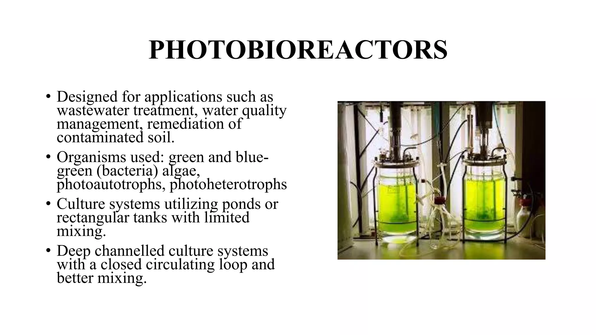 DIFFERENT TYPES OF BIOREACTORS | PPTX
