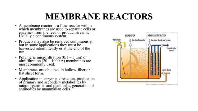 DIFFERENT TYPES OF BIOREACTORS | PPTX