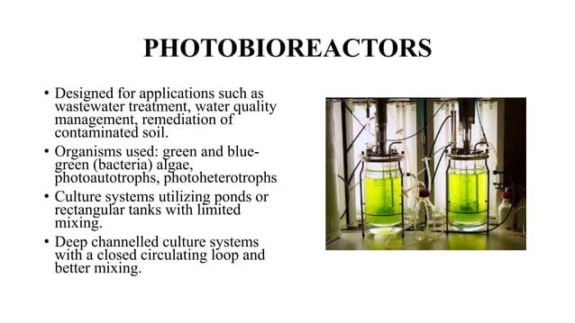DIFFERENT TYPES OF BIOREACTORS | PPTX