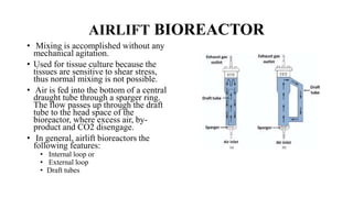 DIFFERENT TYPES OF BIOREACTORS | PPTX