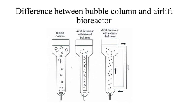 DIFFERENT TYPES OF BIOREACTORS | PPTX