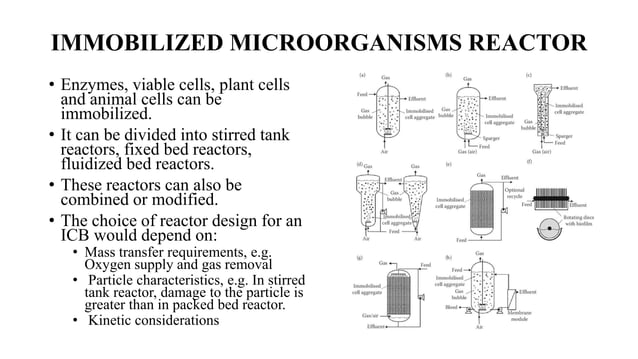 DIFFERENT TYPES OF BIOREACTORS | PPTX