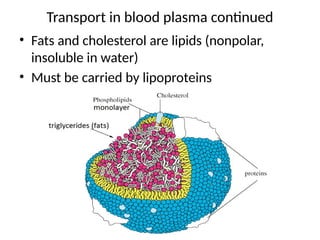 ib biochemistry unit - properties of water | PPTX