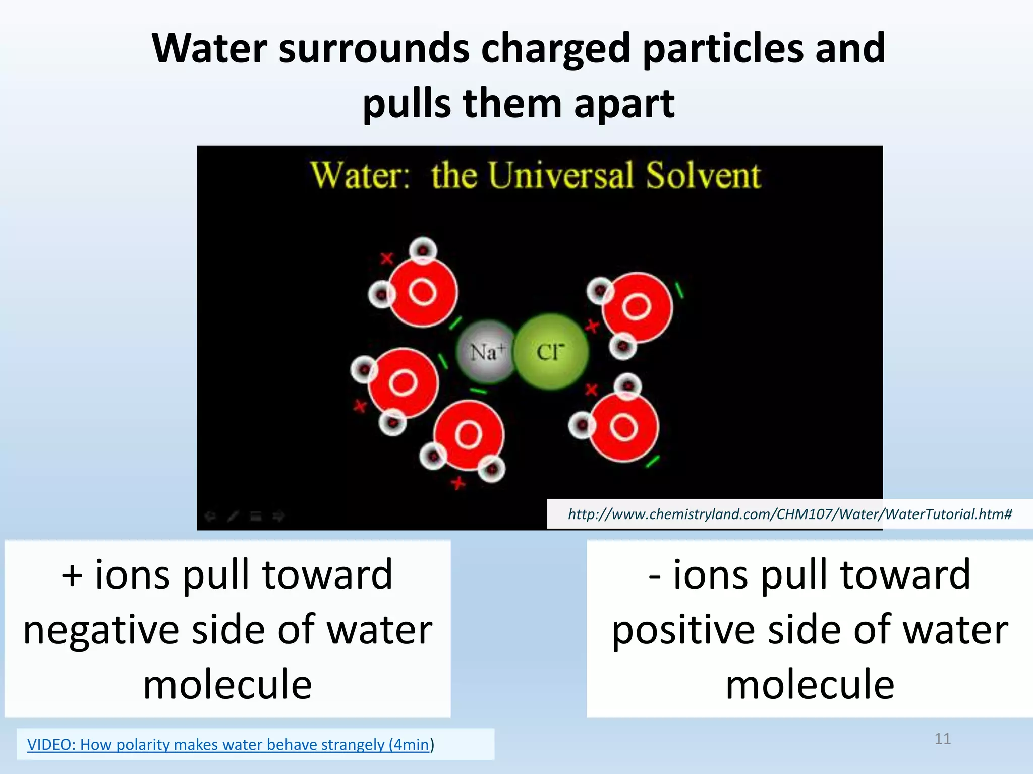 Biochem 1 water notes | PPTX