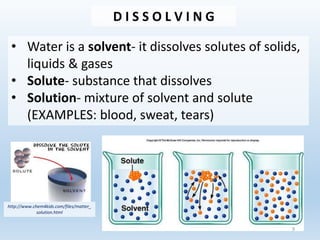 Biochem 1 water notes | PPTX