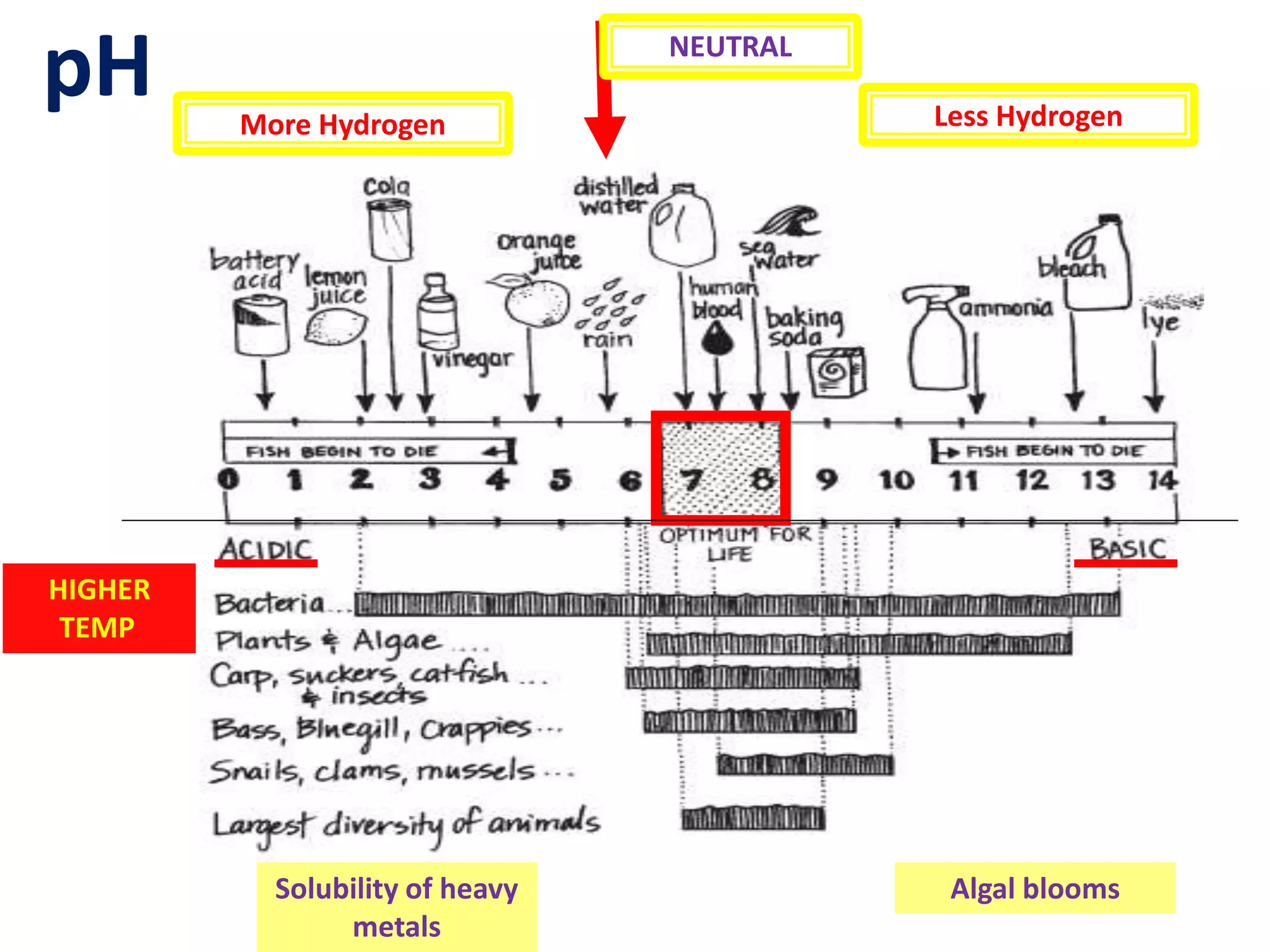 Biochem 1 water notes | PPTX