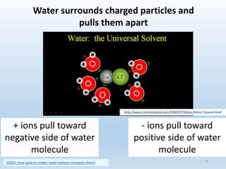 Biochem 1 water notes | PPTX