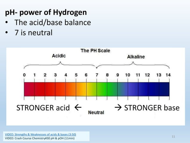 Biochem 1 water notes | PPTX | Chemistry | Science