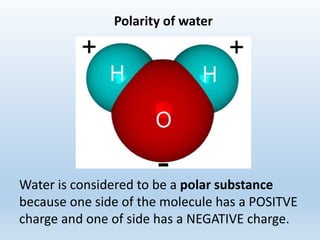 Biochem 1 water notes | PPTX